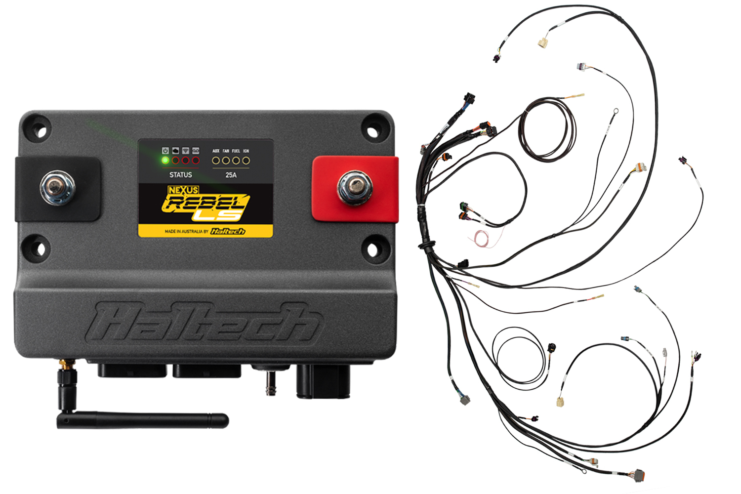 HALTECH Nexus Rebel LS Kit w/DBW Throttle EV6 Inj. HT-220204