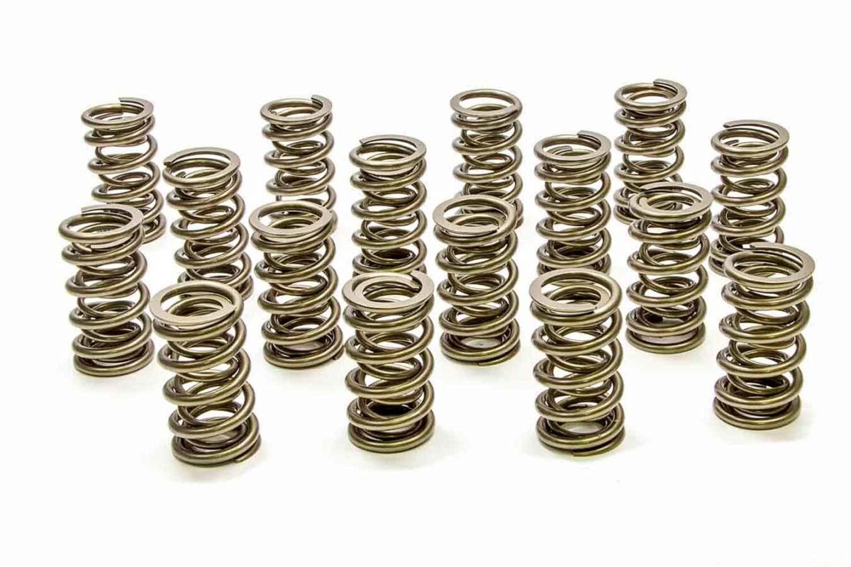 PAC RACING SPRINGS 1.290 Dual Valve Springs - RPM Series (16) PAC-1206X-16
