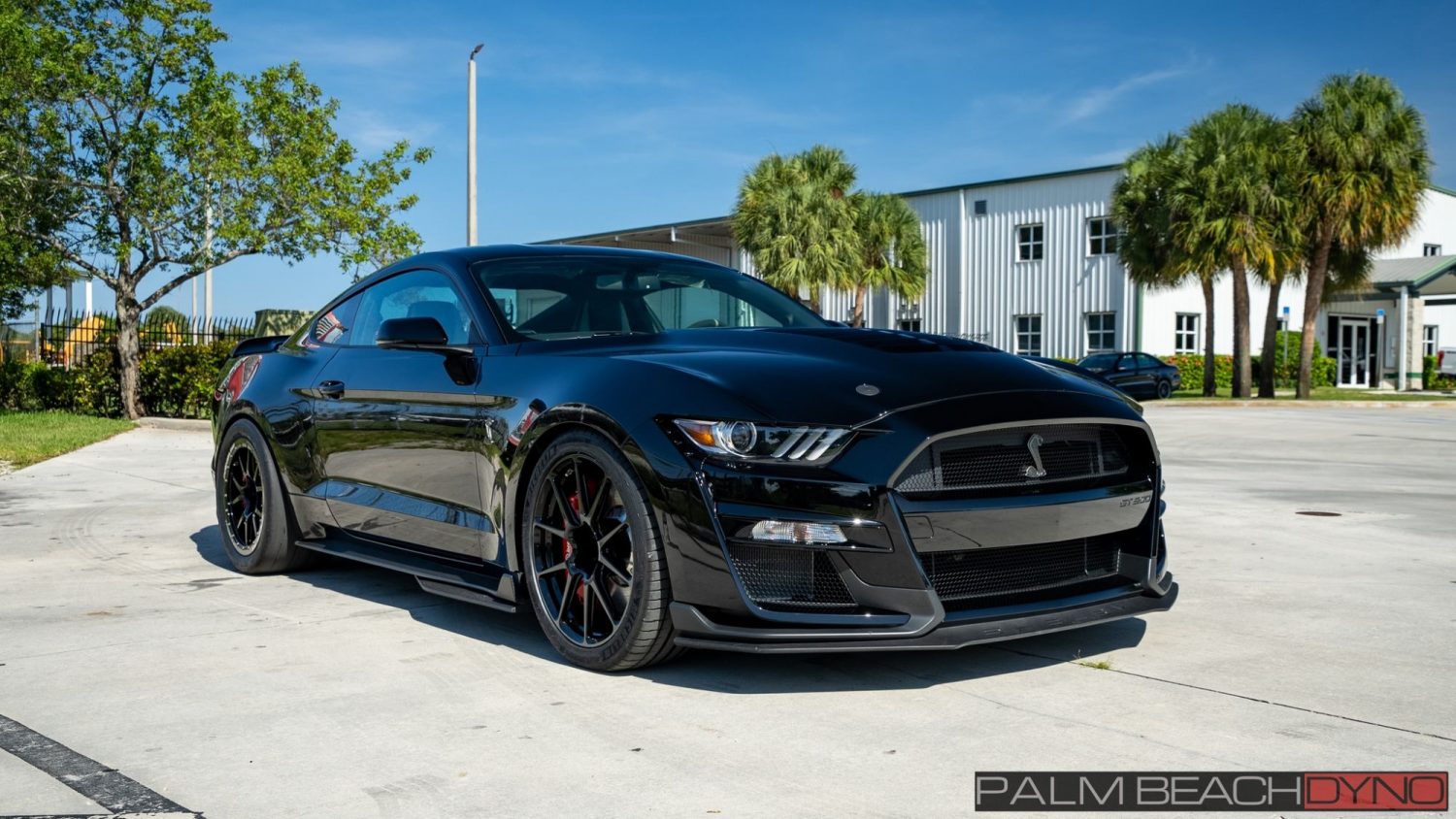 Ford Shelby Mustang GT500 Black Forgeline GS1R Beadlock | Wheel Front