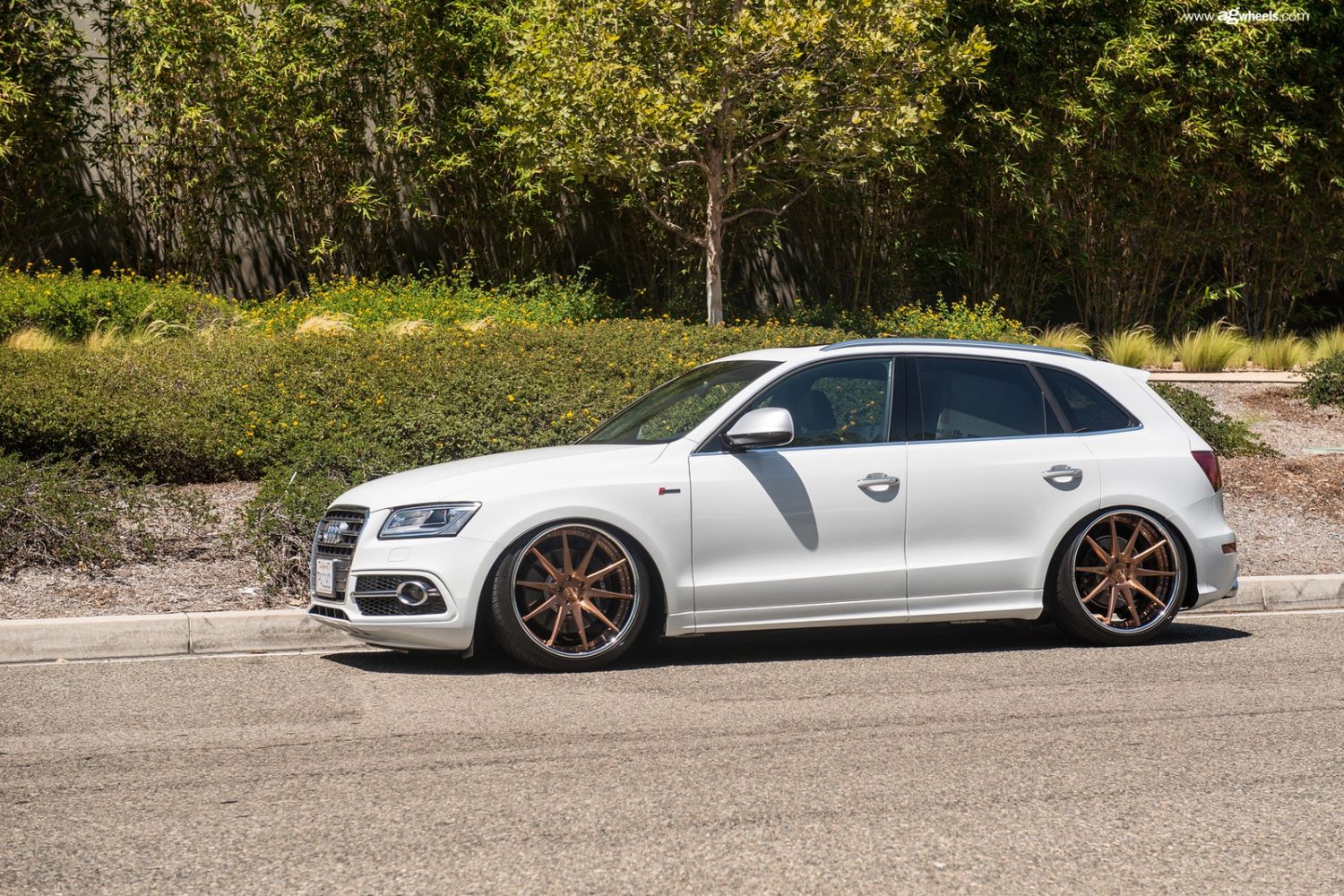 Audi Q5/SQ5 White AG Luxury F420 SPEC2 | Wheel Front