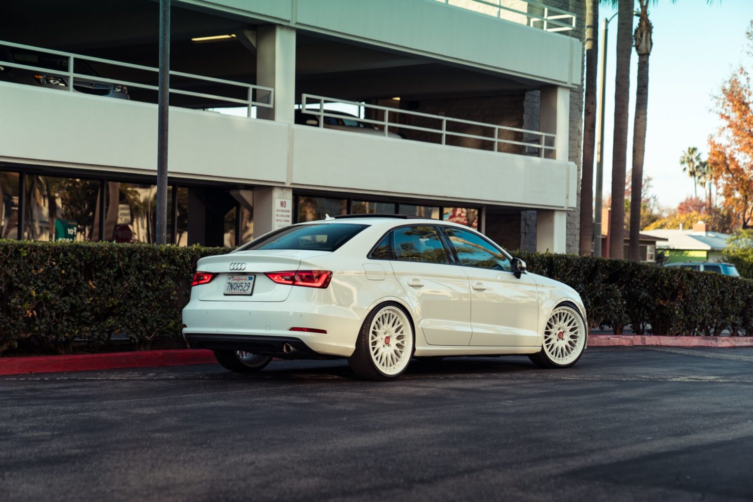 Audi A3 8V White VIP Modular VRC-110 | Wheel Front