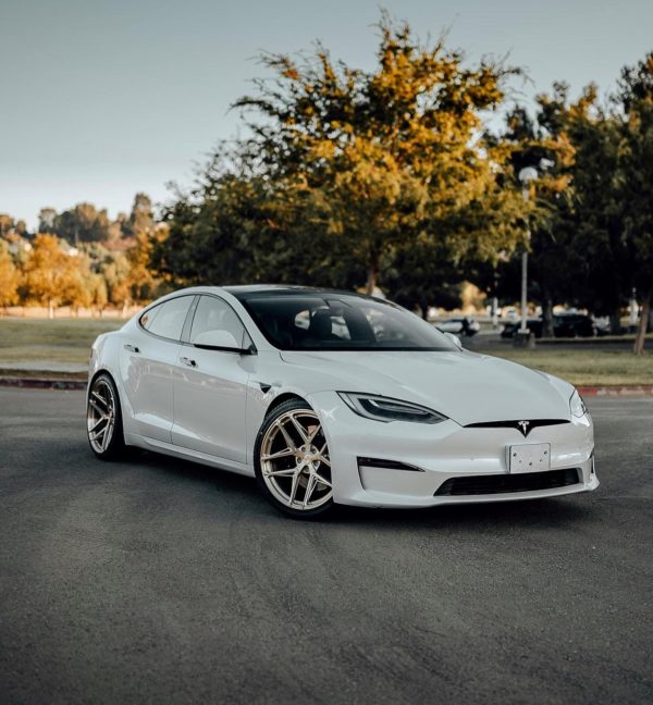 Tesla Model S White Signature SV705 | Wheel Front