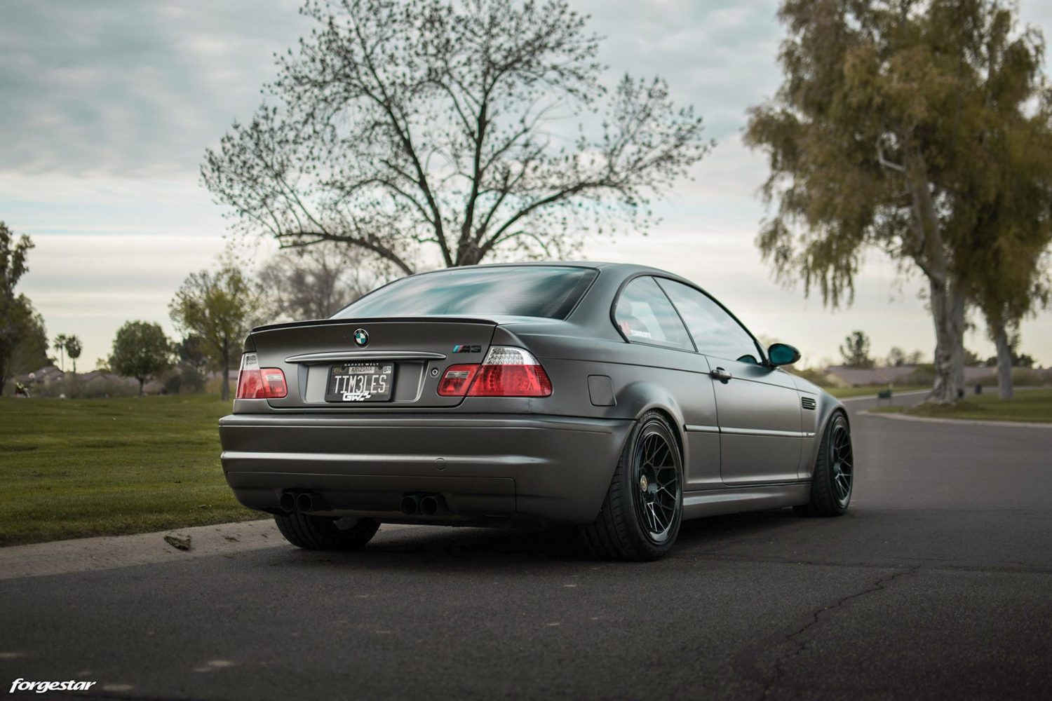BMW M3 E46 Grey Forgestar S18 | Wheel Front