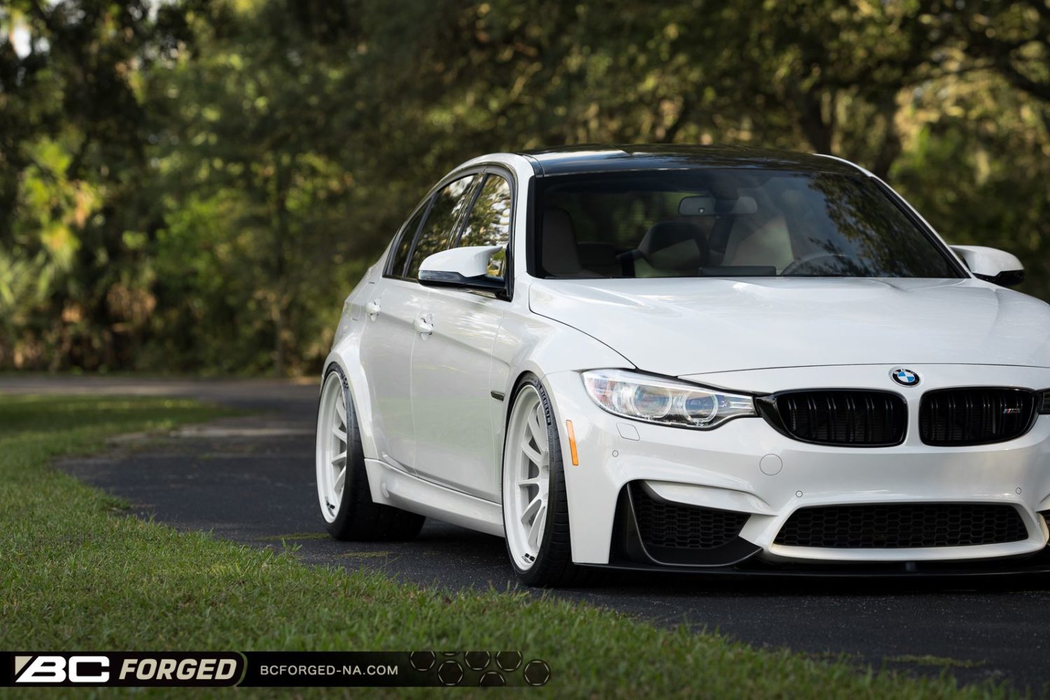BMW M3 F80 White BC Forged TD01 | Wheel Front