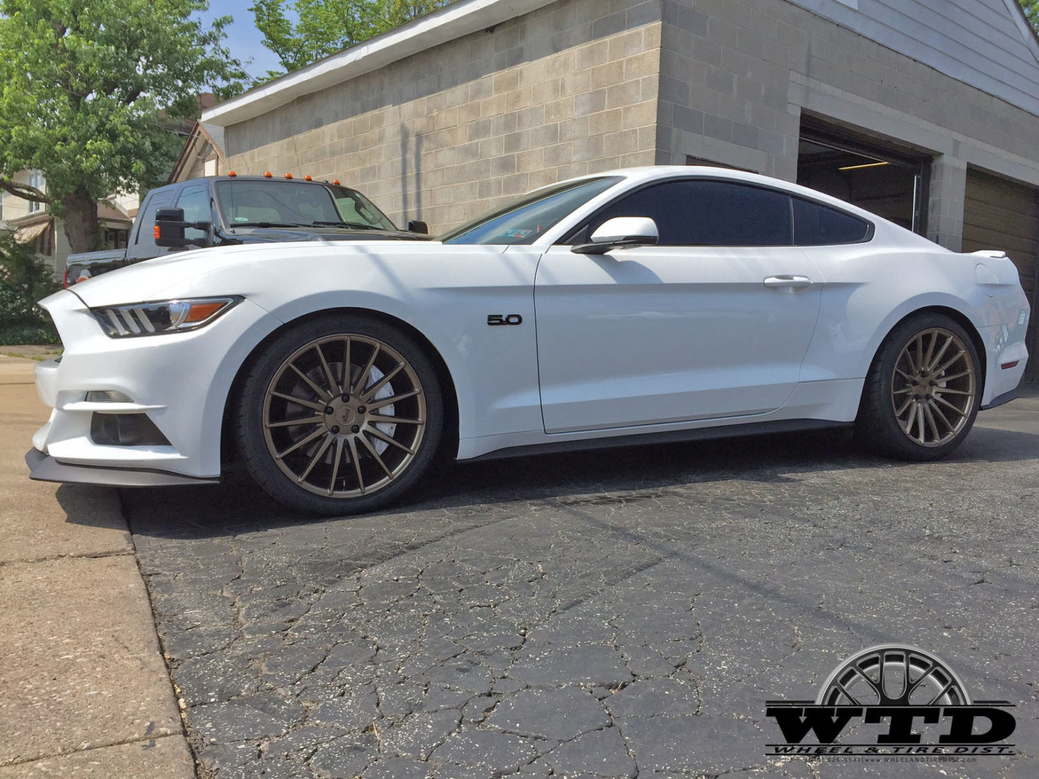 Ford Mustang GT S550 White with Bronze Niche Form M158 | Wheel Front