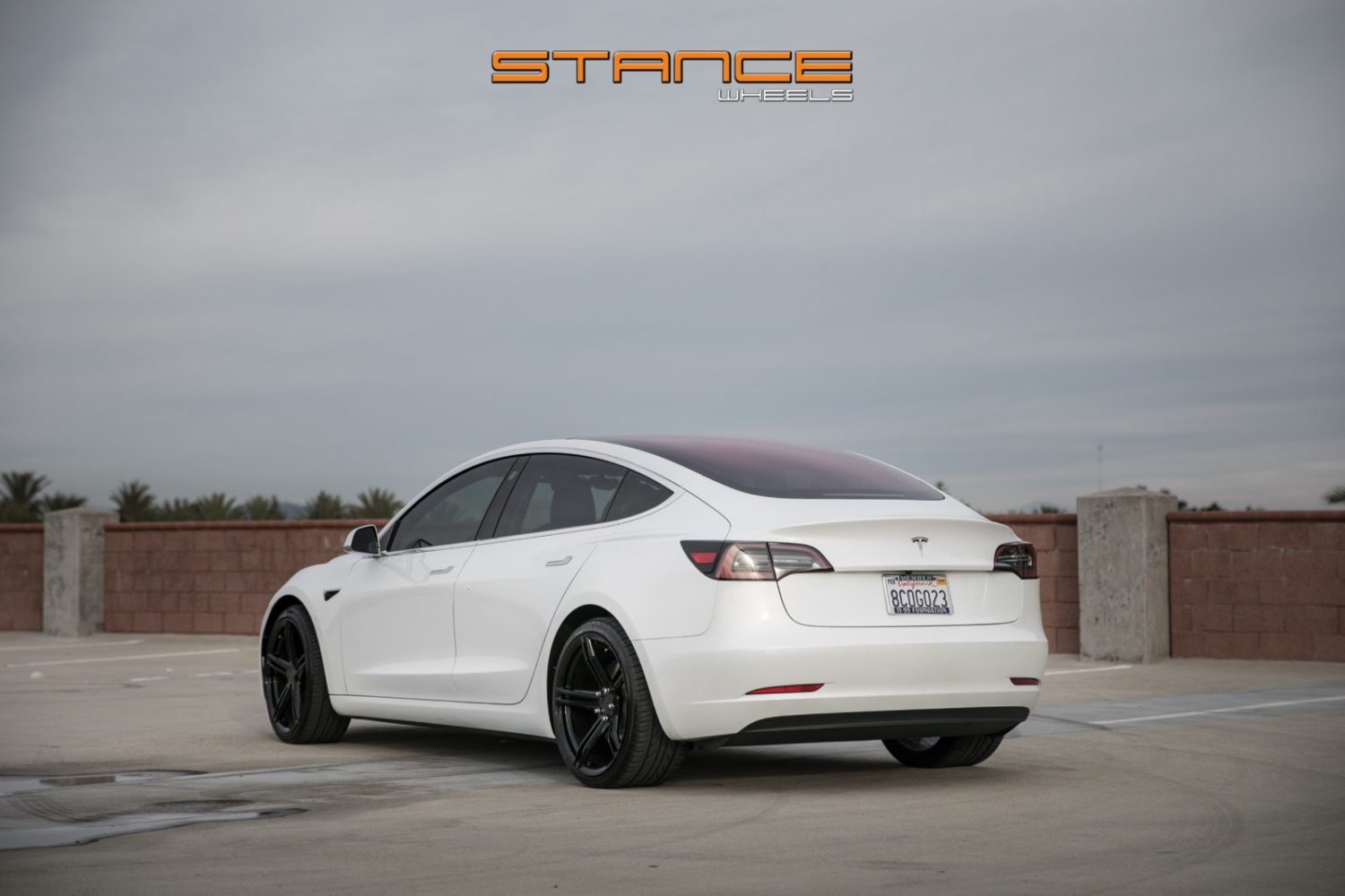 Tesla Model 3 White Stance SF08 | Wheel Front